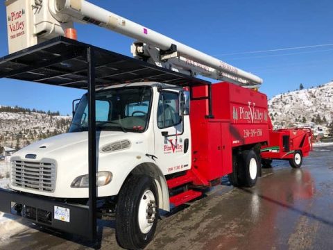 Home - Pine Valley Tree Services