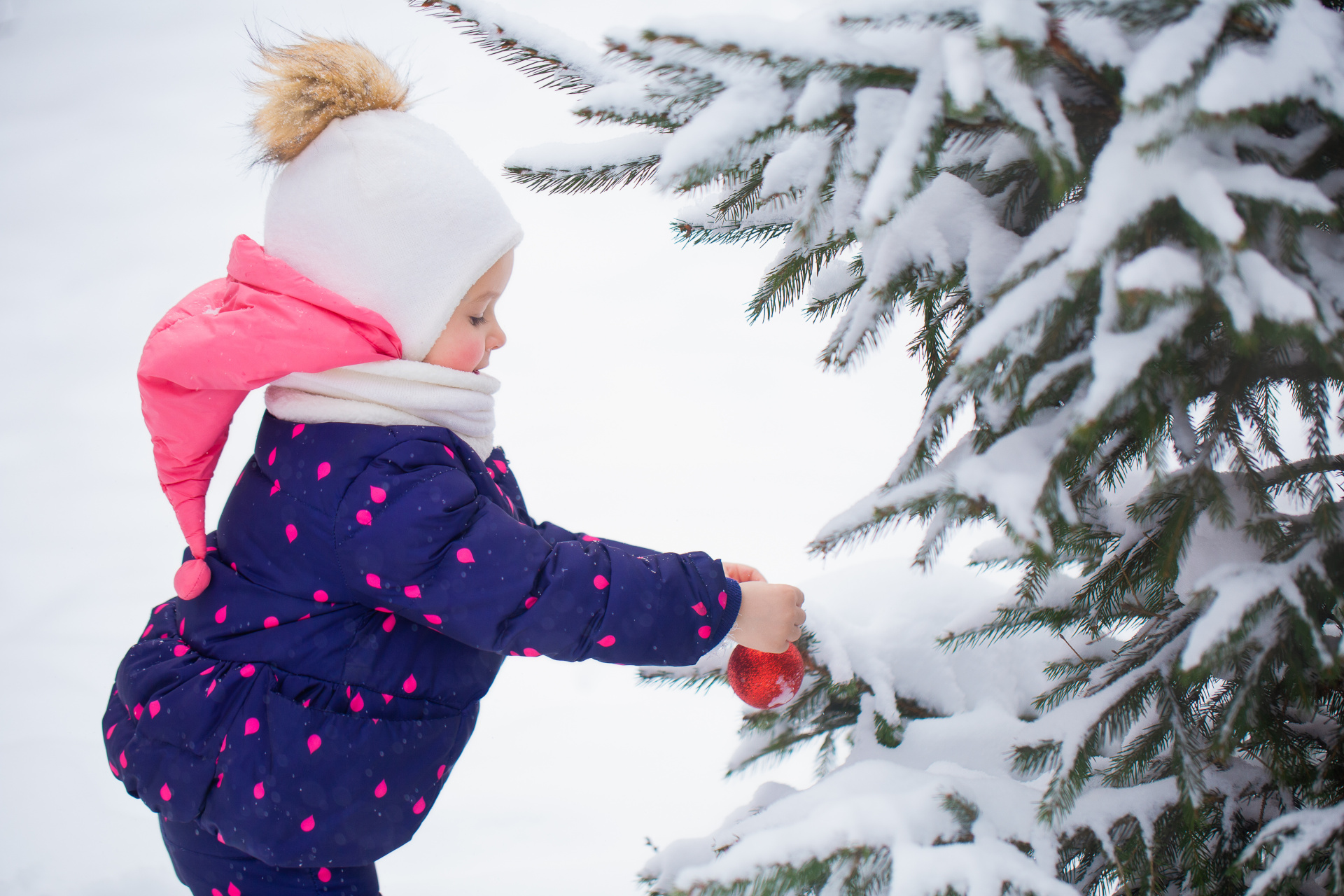 Outdoor Christmas Trees | Pine Valley Tree Services