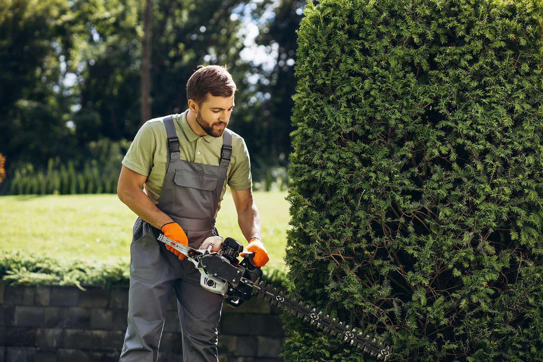Why Choose Pine Valley Tree Services for Your Property?